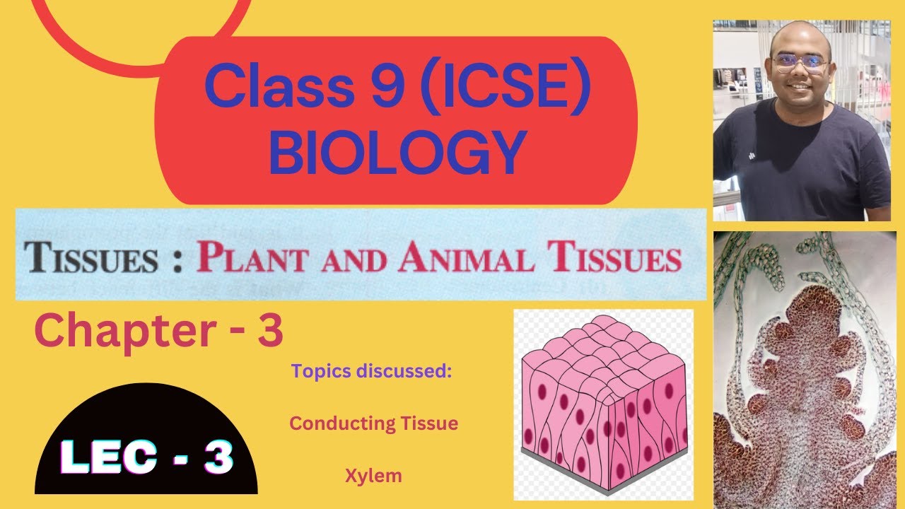 Tissues - Plant and Animal Tissue | Lec 3 | Class 9 | ICSE | Biology ...