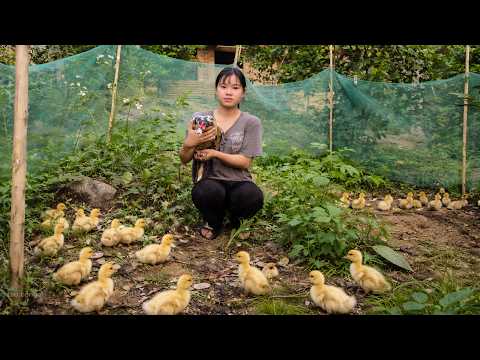 The 17-year-old single mother was thrilled to welcome the first ducklings to her farm!