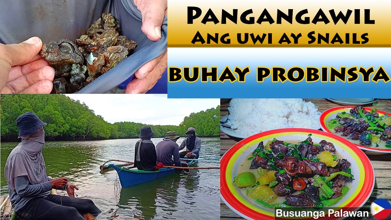 Bukids72-Part1- Pangangawil nauwi sa pangunguha ng Bangkaya | simple ...