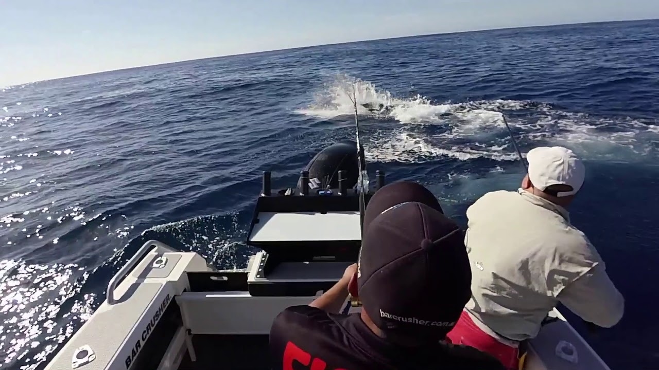 Jump Around on a Bar Crusher Boat: Fishing for Marlin - YouTube