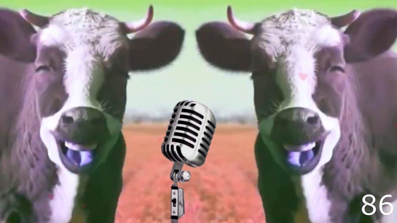 Funny Cow Dance 86 With Funny Cow Song | Cow Mooing Videos | Cows Music ...