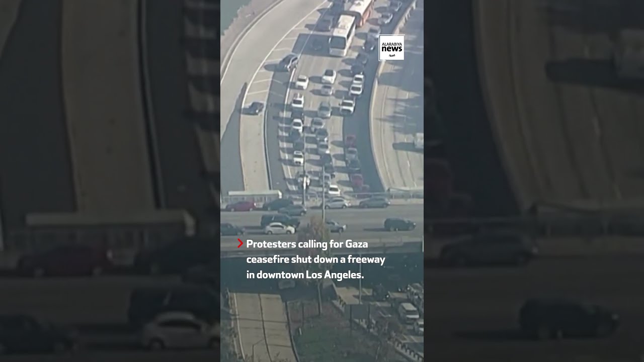 Protesters block Los Angeles freeway - YouTube