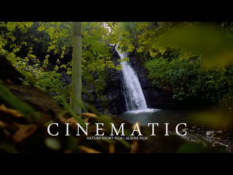 4K Nature Cinematography | Cinematic Background Music NO COPYRIGHT ...