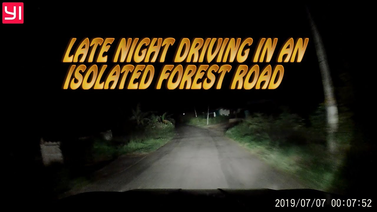 Late Night Driving In An Isolated Forest Road - YouTube