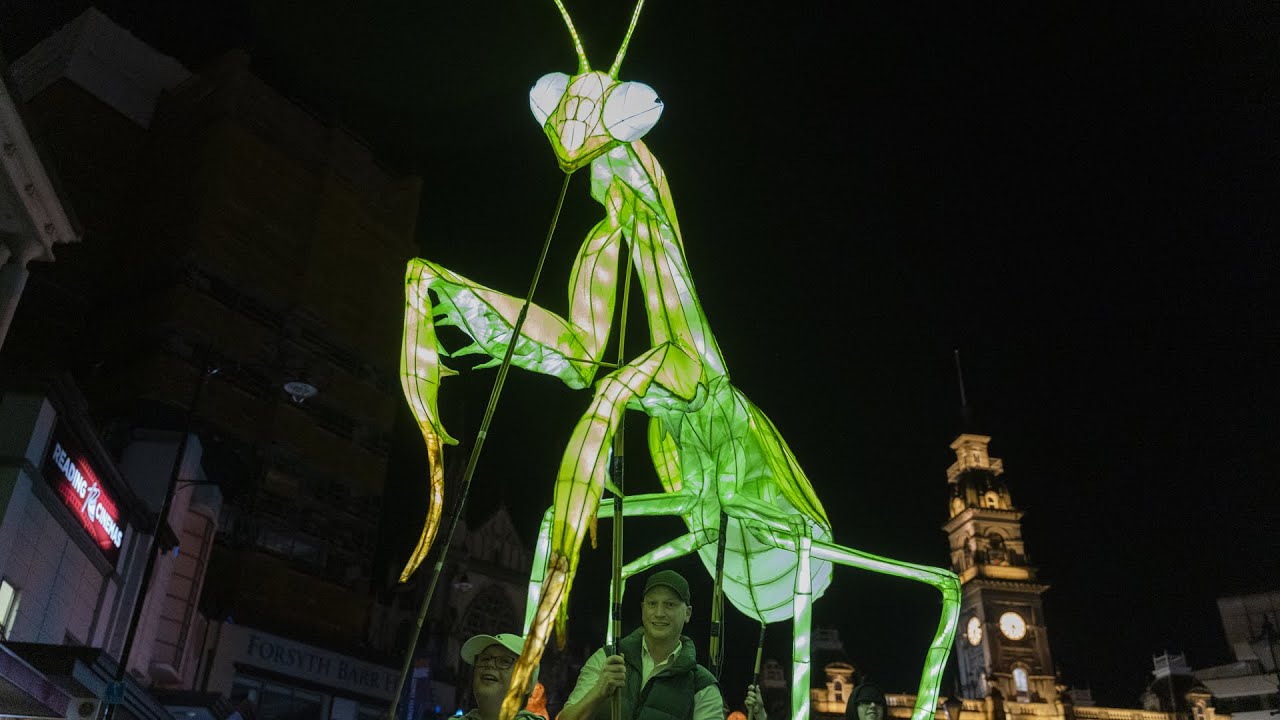 Dunedin Midwinter Carnival 2021 - YouTube