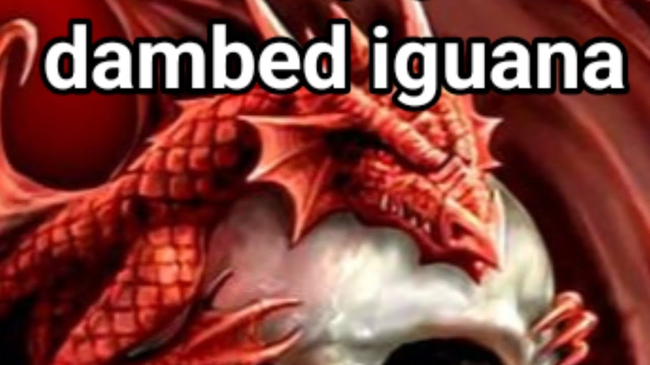 dambed iguana - YouTube