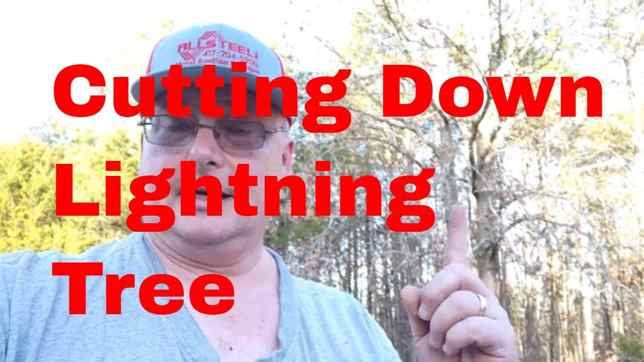 Cutting Down The Lightning Tree For Firewood On The Farm - YouTube