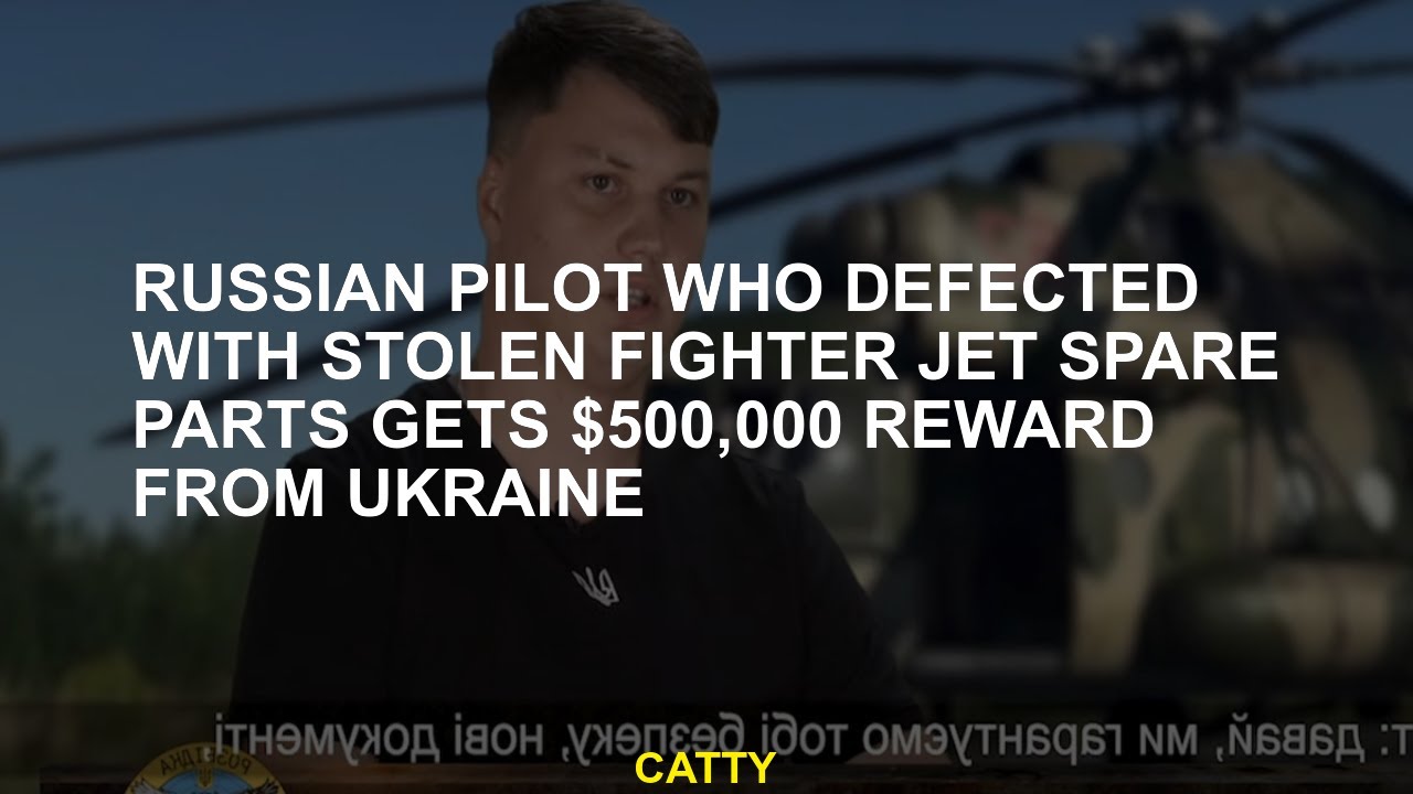 Russian pilot who defected with stolen fighter jet spare parts gets ...