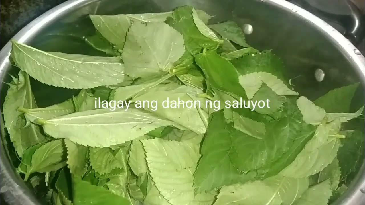 Paksiw na Saluyot/Filipino Recipe - YouTube