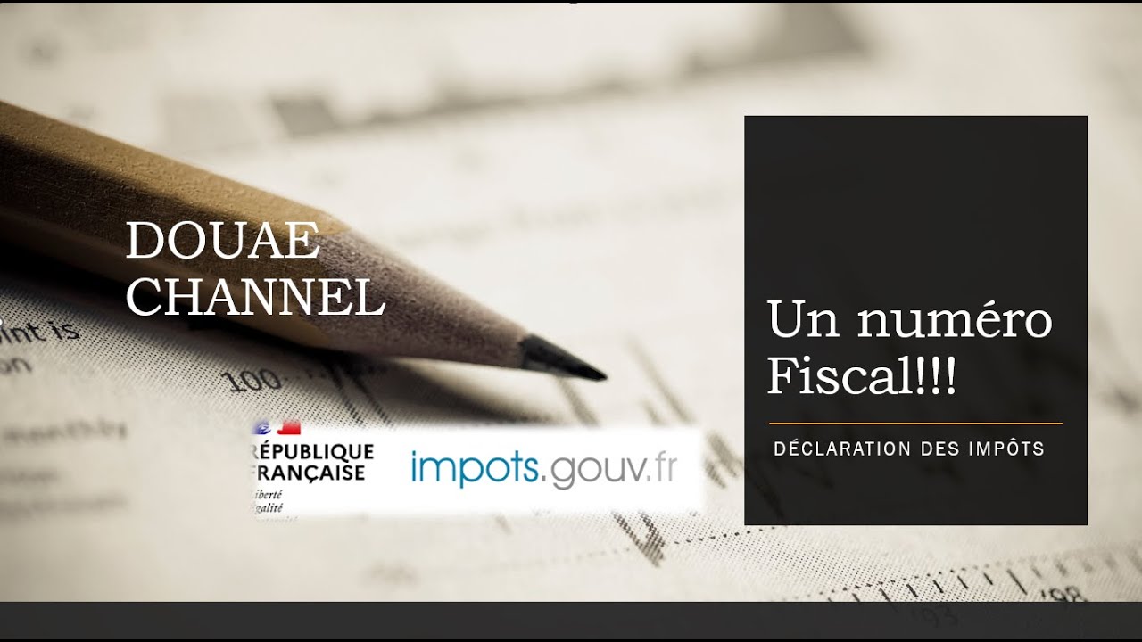 Déclaration des impôts pour la première fois! Recevoir un numéro fiscal ...
