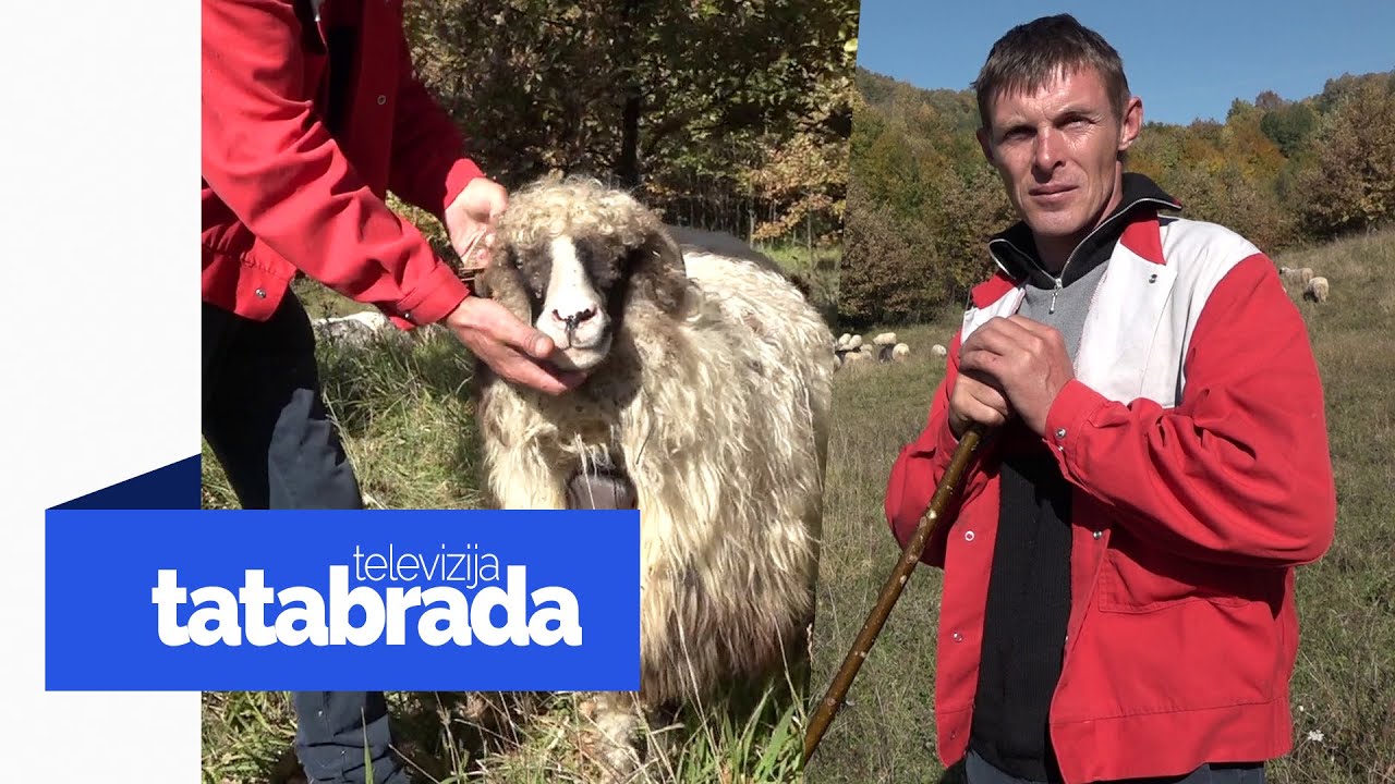 "Meni je i ovdje Njemačka, samo da proširim stado" - tatabrada.tv - YouTube