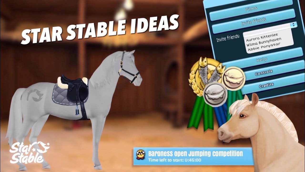 10 Star Stable Ideas | 3 - YouTube