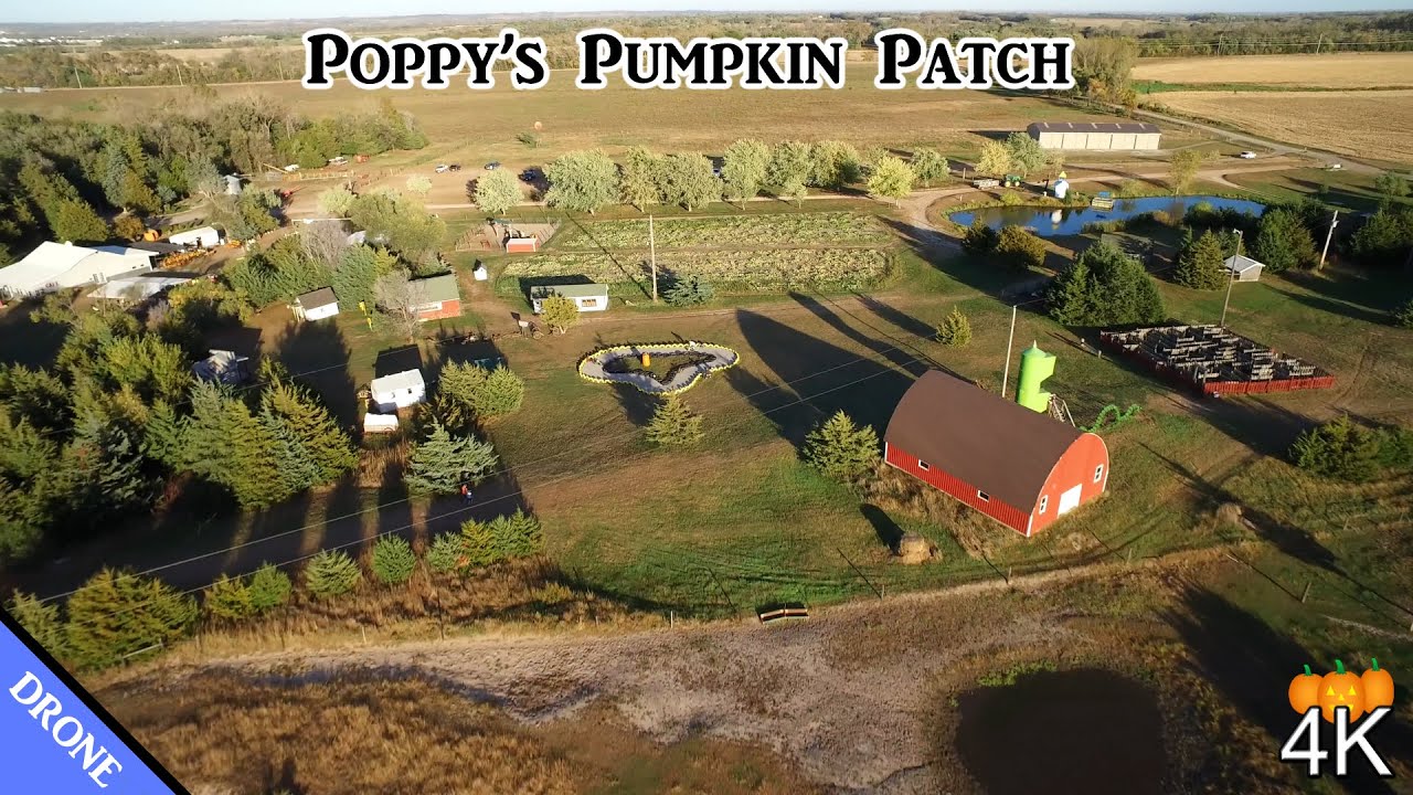 Poppy's Pumpkin Patch - Drone Tour 2015 (4K) - YouTube