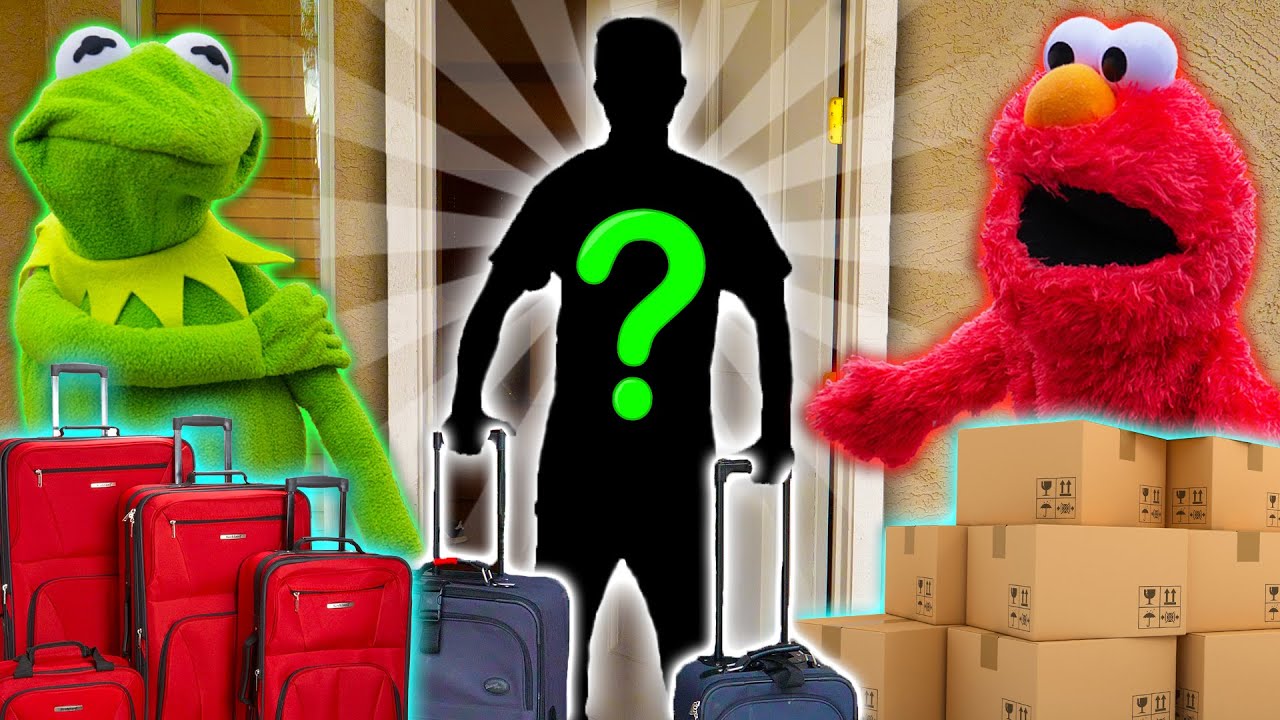Kermit the Frog and Elmo's NEW Roommate! - YouTube