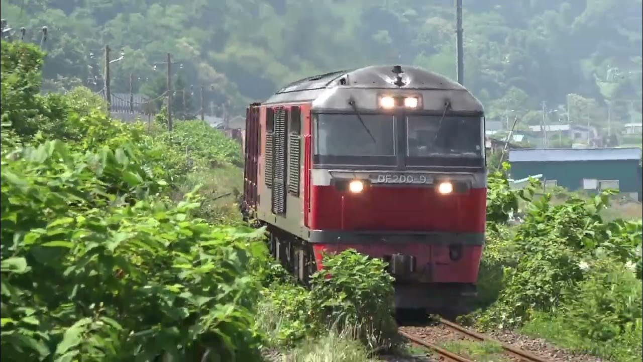 DF200レッドベアー牽引貨物列車 3084レ - YouTube