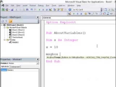 3. Introduction to Programming with VBA - Introduction To Variables ...