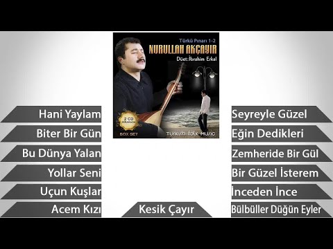 Nurullah Akçayır Ft. İbrahim Erkal - Seyreyle Güzel