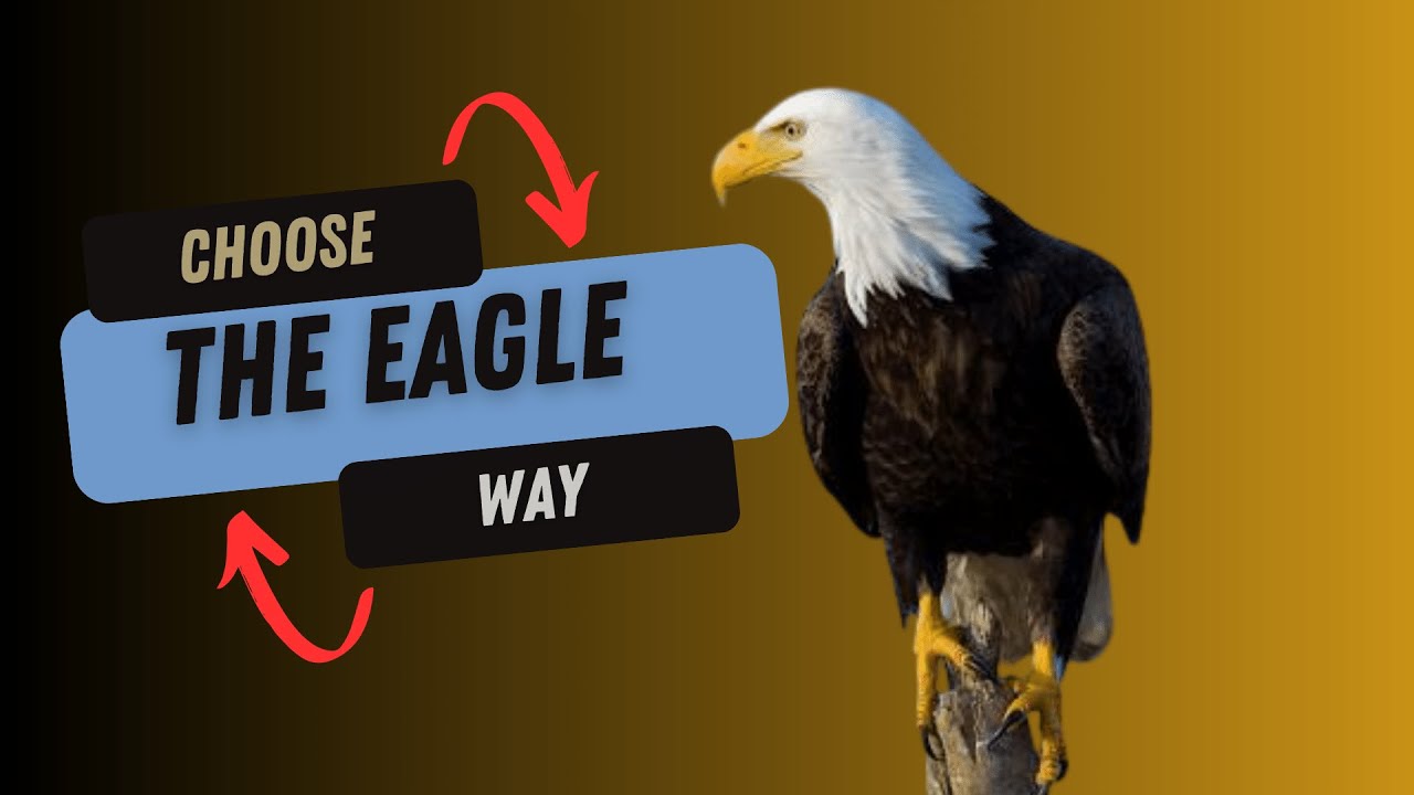 ALWAYS CHOOSE THE EAGLE WAY - YouTube