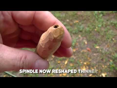 Indian Almond - Terminalia catappa - Bow drill