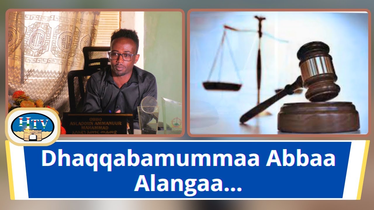 Iftoominaa fi dhaqqabamummaa tajaajila abbaa alangaa fi itti quufiinsa ...