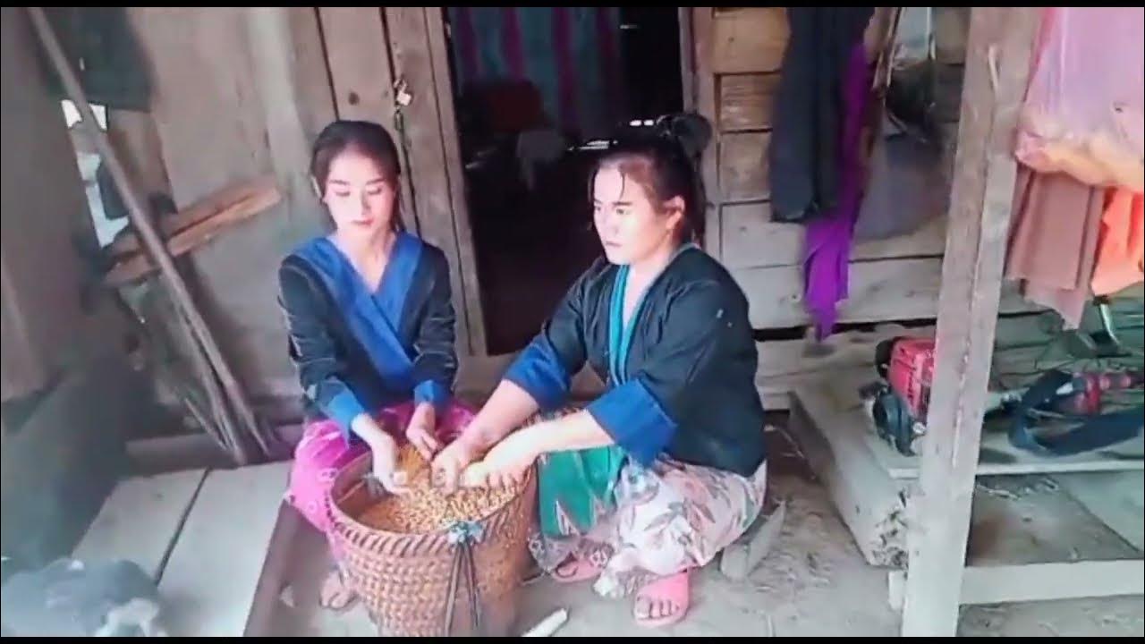 os zom pos kws pub qaib los 8/3/2023 - YouTube