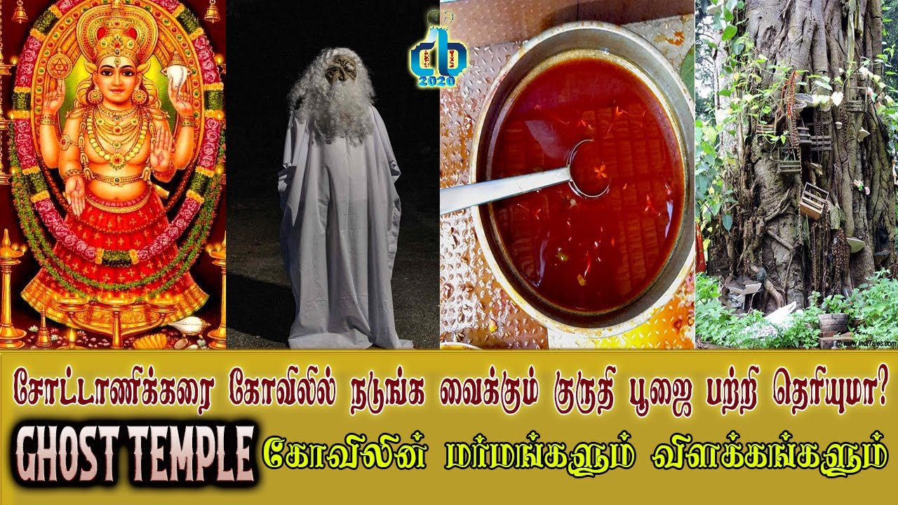 Chottanikkara Ghost Temple | Tamil | MG | KERALA | CRUNCHY BITES 2020 ...