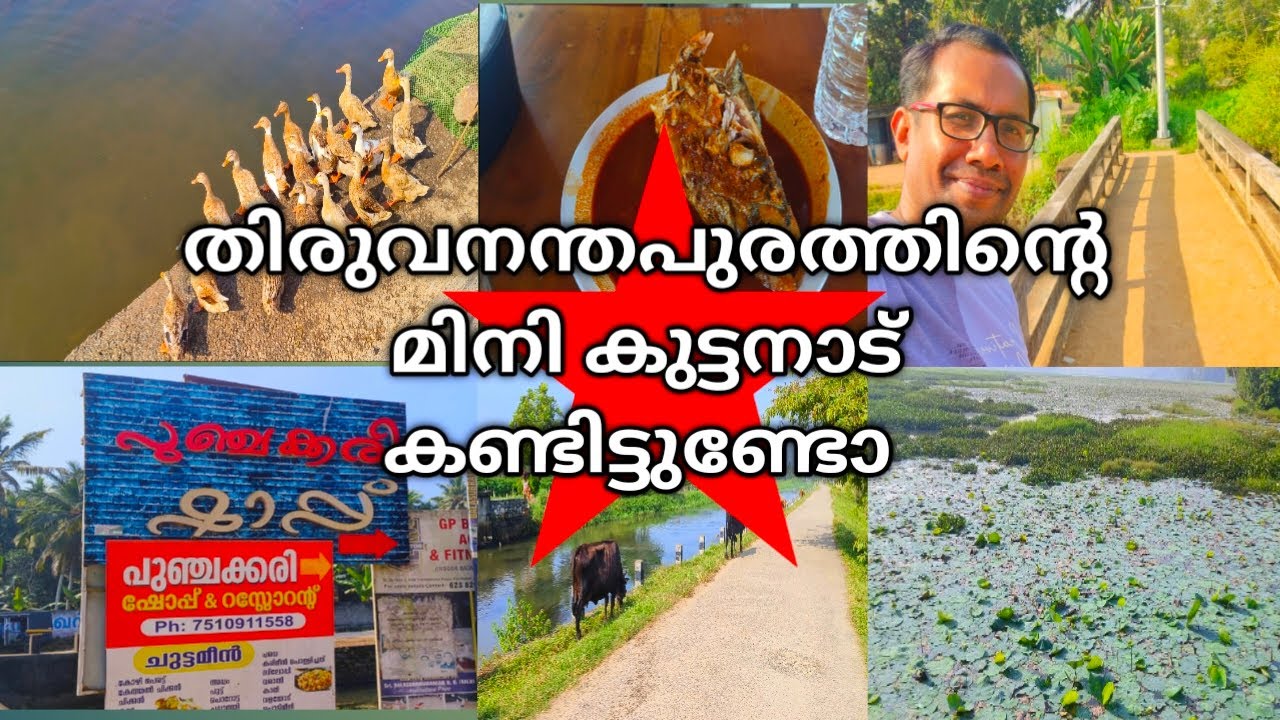 Vellayani Lake | Punchakkari toddy shop | Kireedam bridge | Trivandrum ...