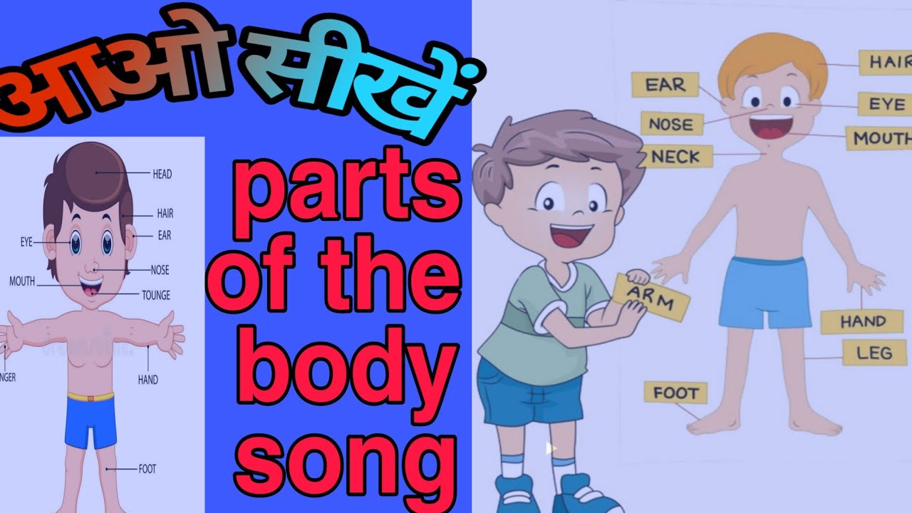 Body parts name with rhymes☺️ Little steps play school - YouTube