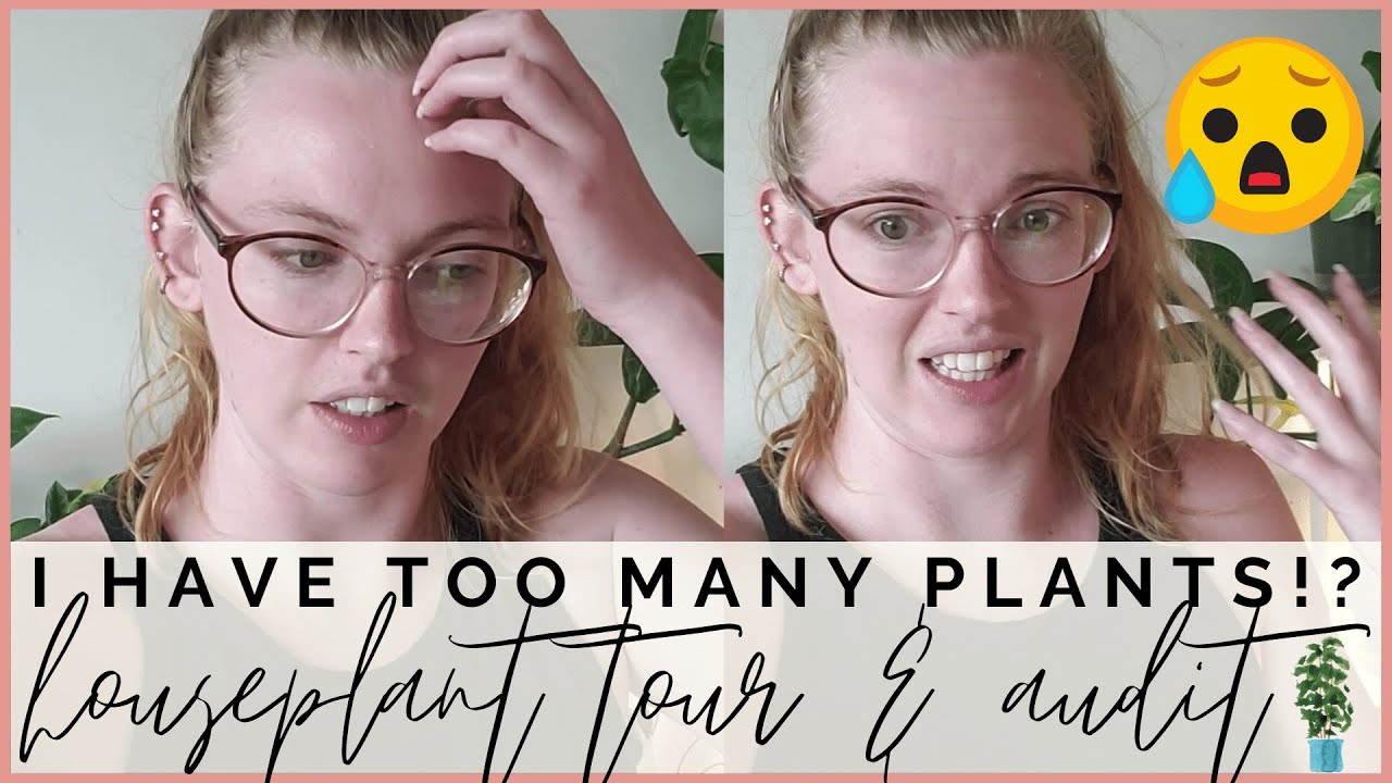 Houseplant Tour Audit Deciding How To Shrink My Collection YouTube Houseplant Tour Audit Deciding How To Shrink My Collection YouTube
