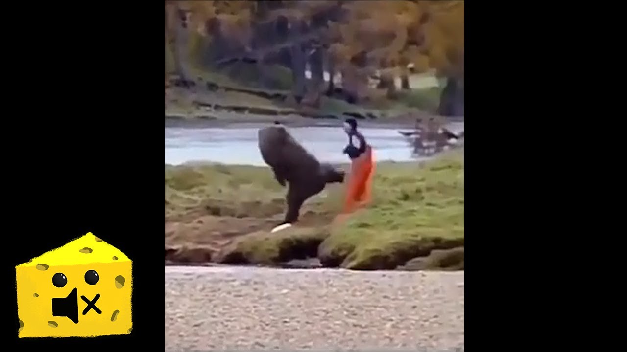 Vertical memes #21 - YouTube