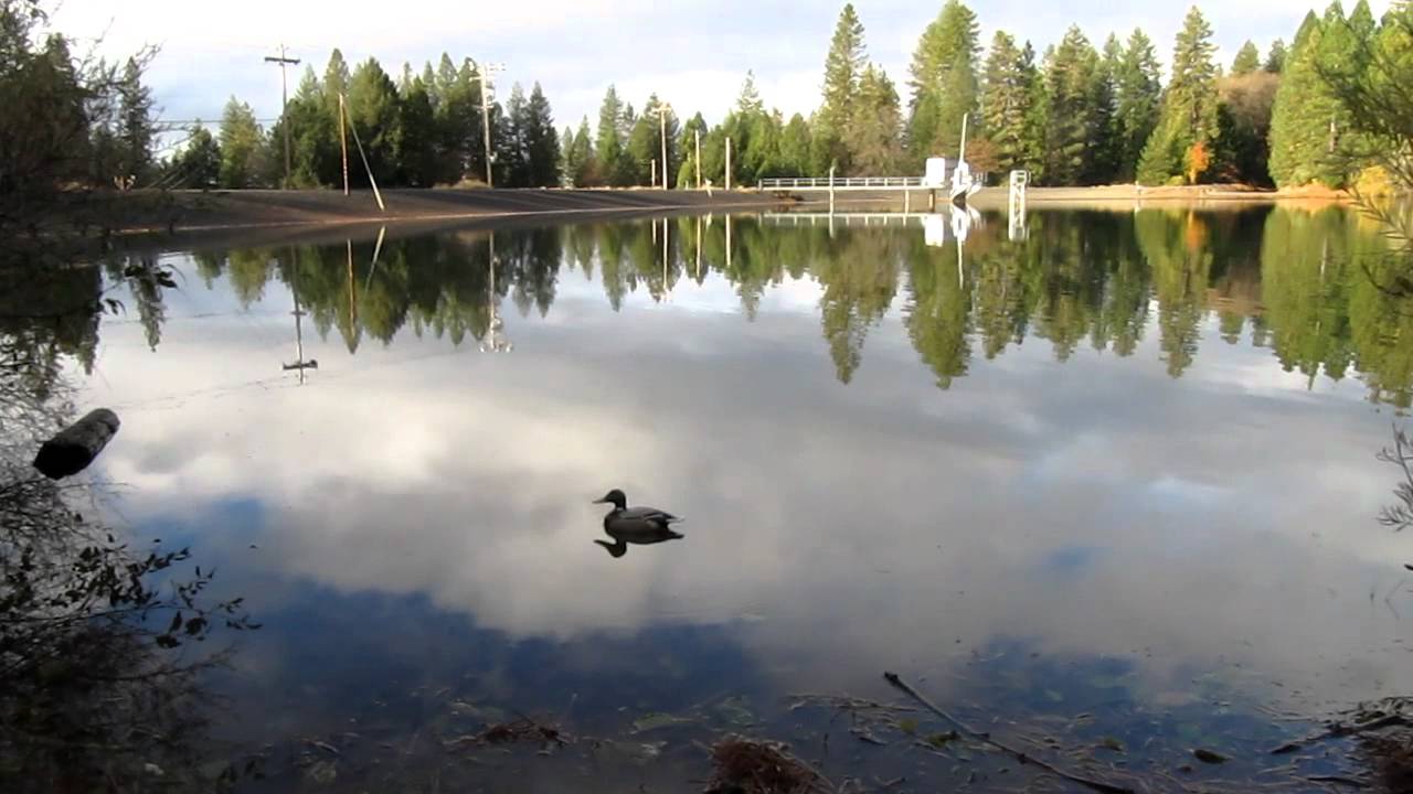 Moto Duck Motion Decoy System - YouTube