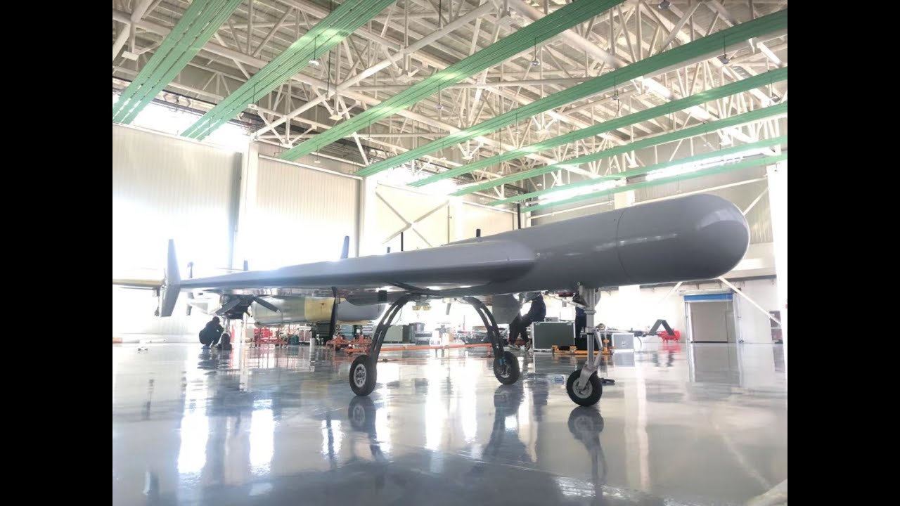 Sunflower 200 video - YouTube