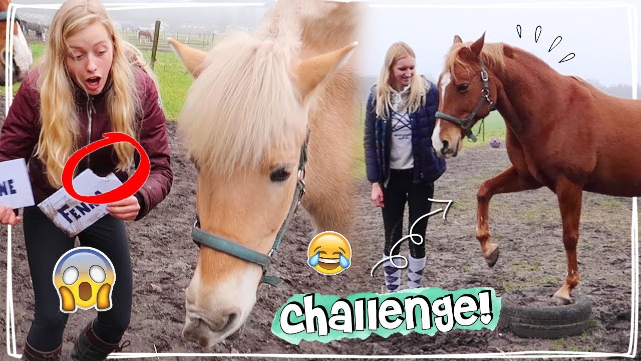 OH NEE, MOOS WAT DOE JE?! Moos & Noura bepalen wat Fenna en ik doen ...