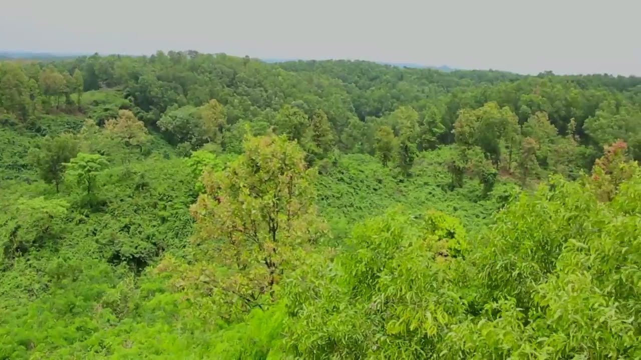 Modhutila Eco Park Sherpur মধুটিলা ইকোপার্ক শেরপুর - YouTube