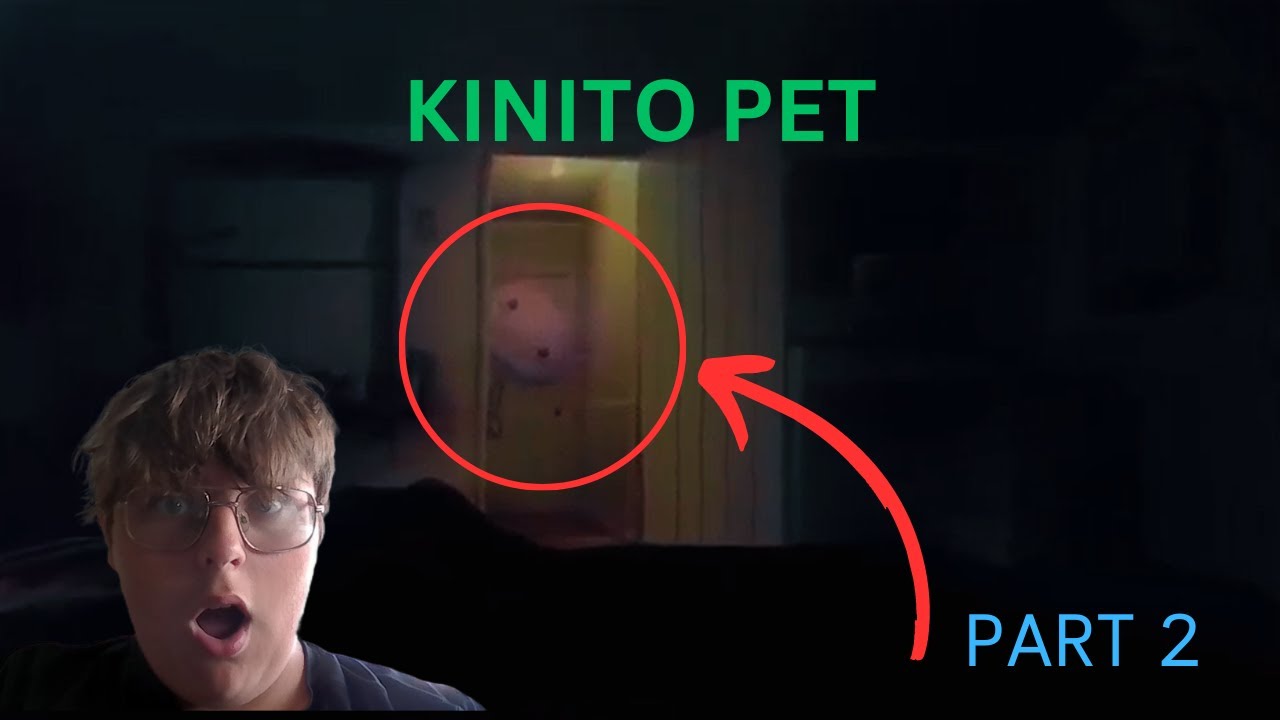 Kinito pet pt. 2 THIS IS GETTING SCARY. - YouTube