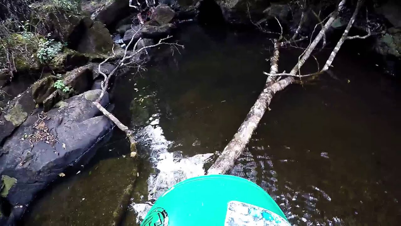 Brain the snake - YouTube