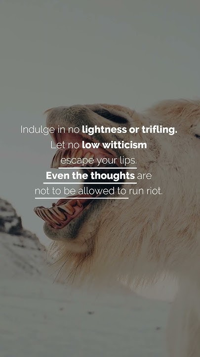 Principle Restraints - How To Live - YouTube