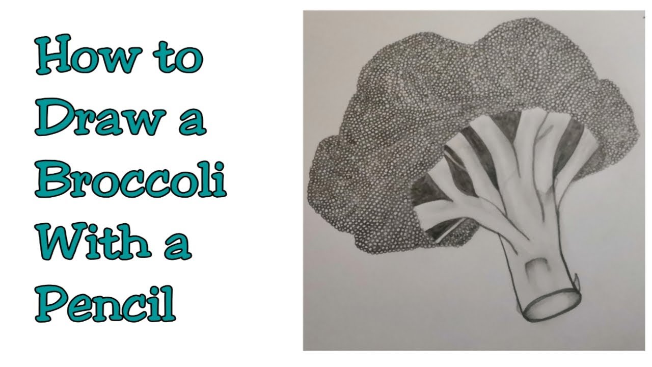 How to draw a broccoli with a pencil - YouTube