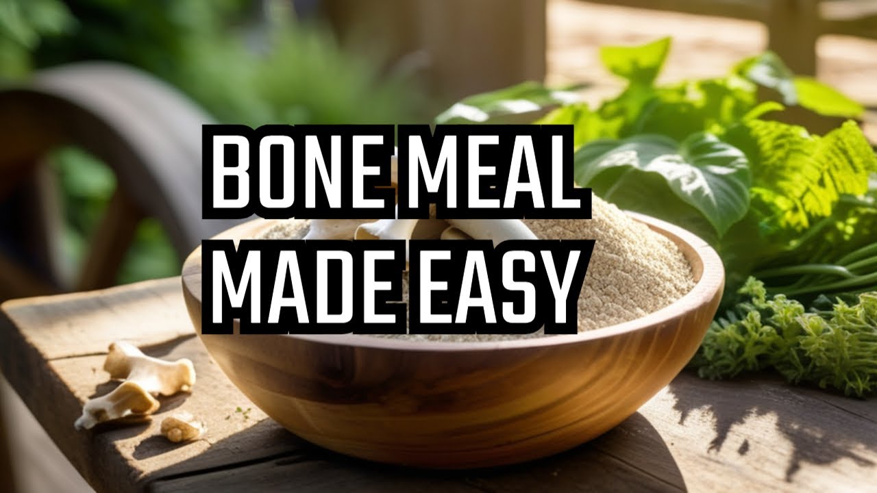 CREATE Your Own Bone Meal Fertilizer with Just Chicken Bones! - YouTube