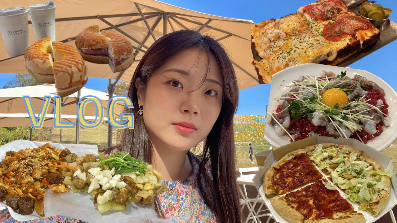 Vlog 주말을 위해 사는 직장인 브이로그 이번주야말로 폭주다🔥아름다운 덕수궁🇰🇷위엄가득 광화문🇰🇷정말 평화롭던 임진각평화누리공원🍃번개모임은 짜릿해⚡️