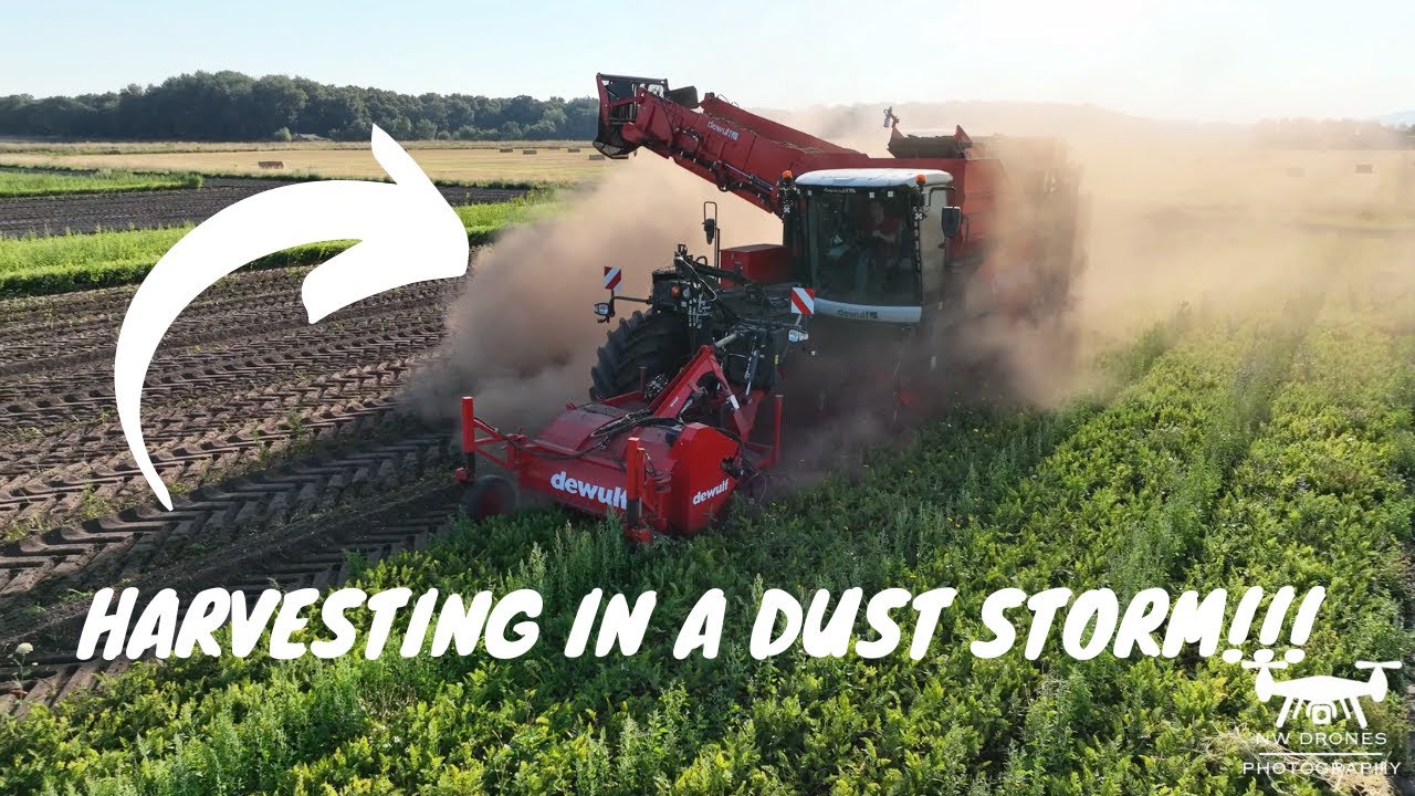 HARVESTING CARROTS IN A DUST STORM - GOLDINGS FARM - YouTube