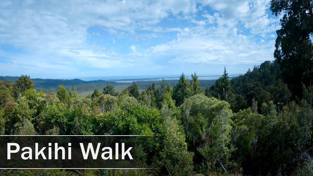 Pakihi Walk, West Coast, New Zealand | 4K - YouTube