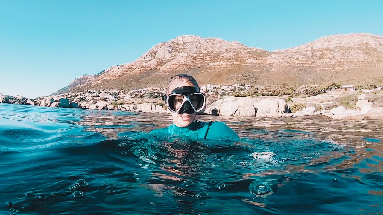 Snorkelling In Cape Town's Underwater Forests | False Bay - YouTube