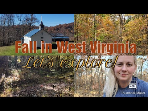 Fall colors in West Virginia! Come explore the woods with us ️ - YouTube