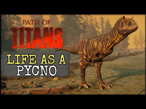 Life As A Pycno - Path Of Titans Pycnonemosaurus PvP Gameplay - YouTube