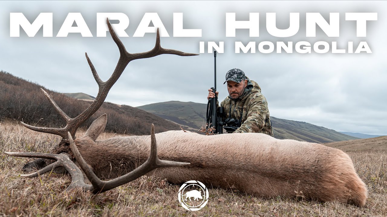Maral hunting Mongolia | Trailer - YouTube