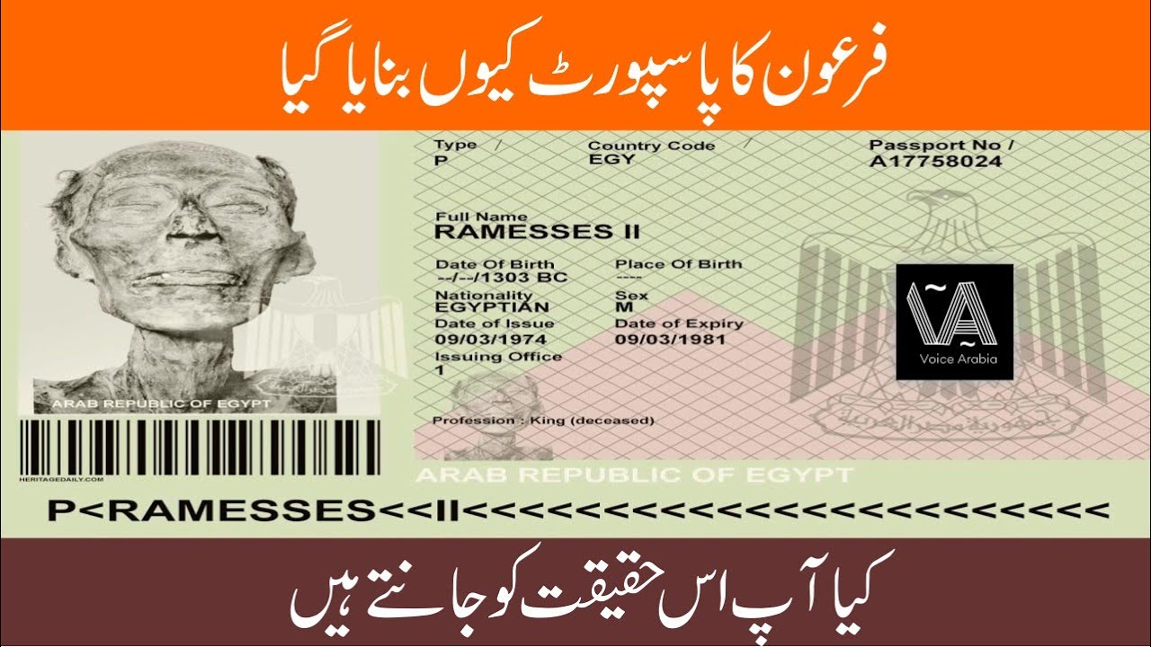 Why was Pharaoh's passport made? Do you know this fact? | Ramesses II ...