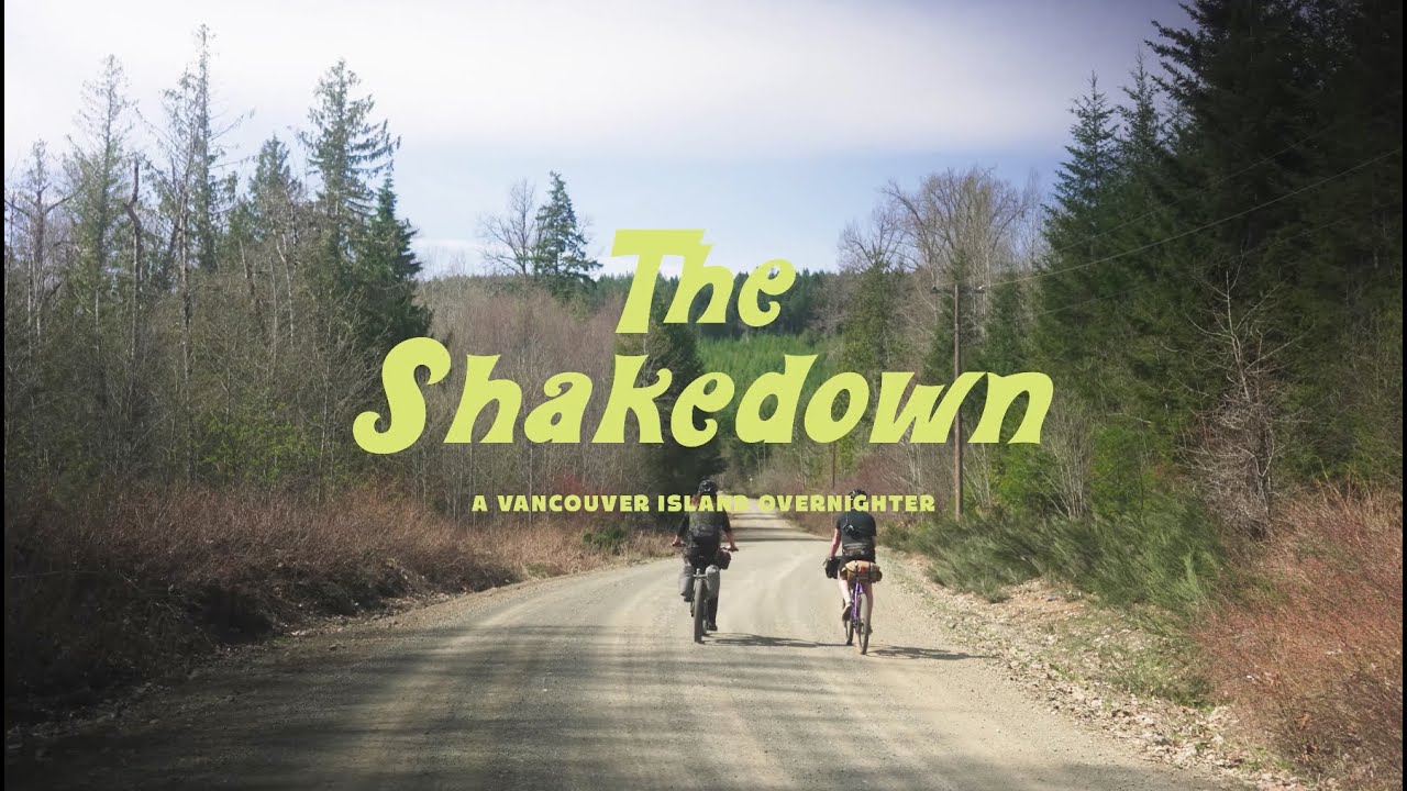 The Shakedown - YouTube