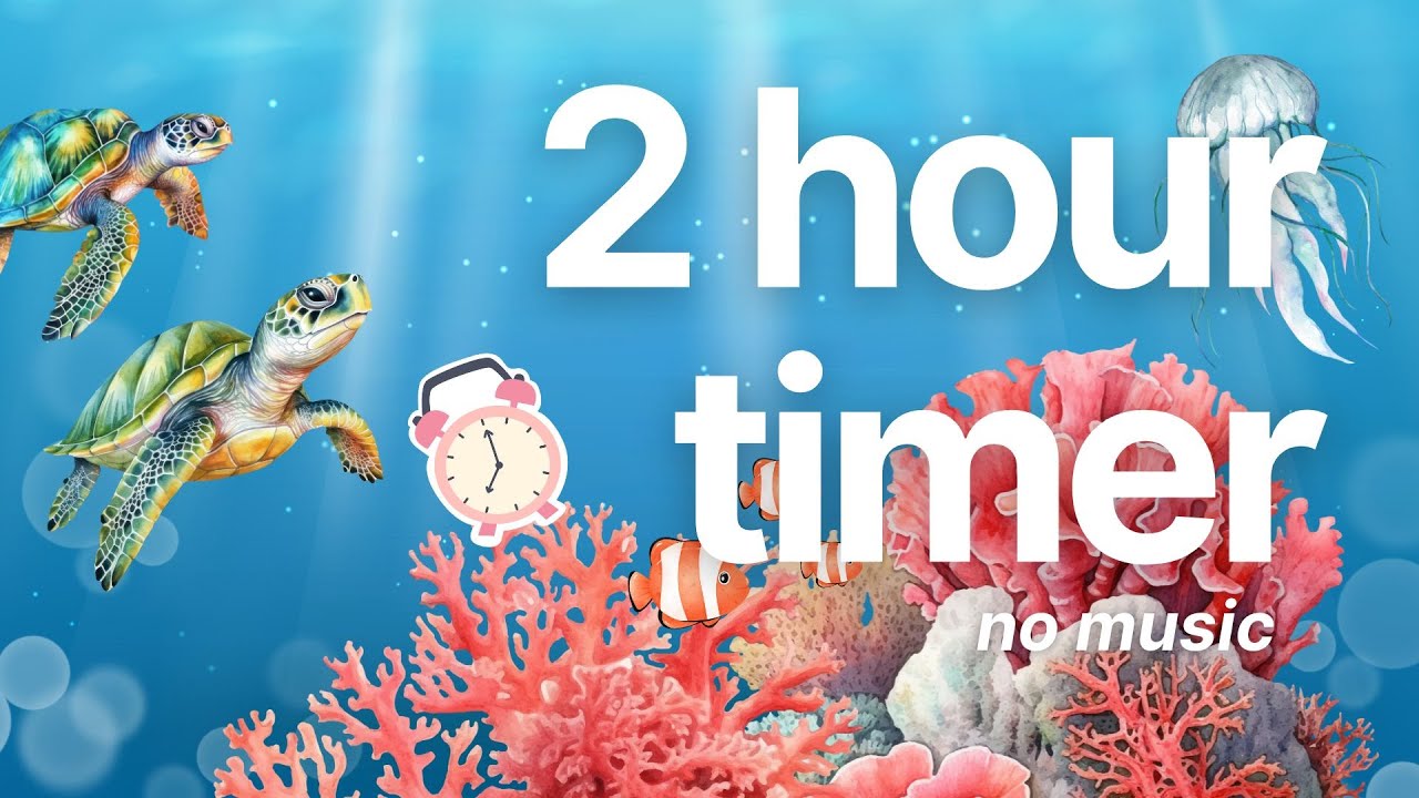 2 Hour Timer - no music - deep focus, study, work - under the sea - YouTube