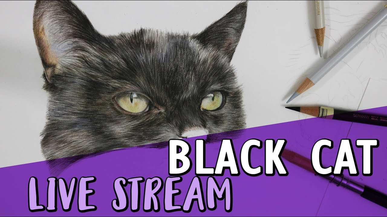 LIVE STREAM: Drawing a Black Cat - YouTube